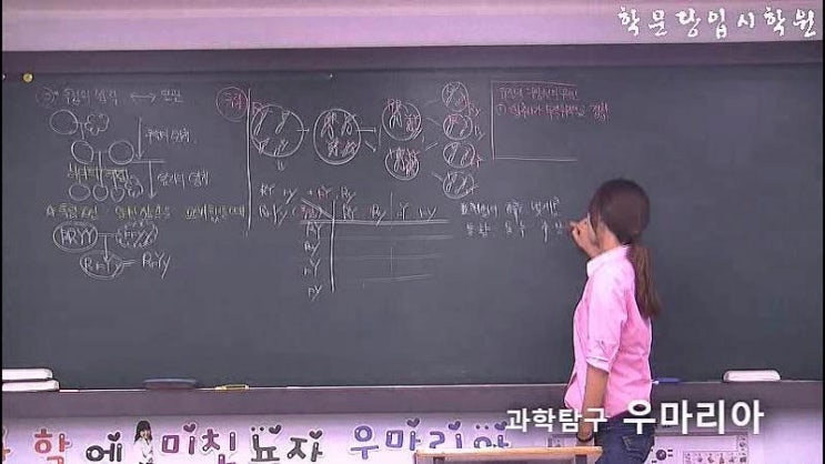고1과학인강 염색체의 구조 세포주기 체세포분열 감수분열 멘델의 우열의 법칙 분리의 법칙연관연관군2 네이버 블로그