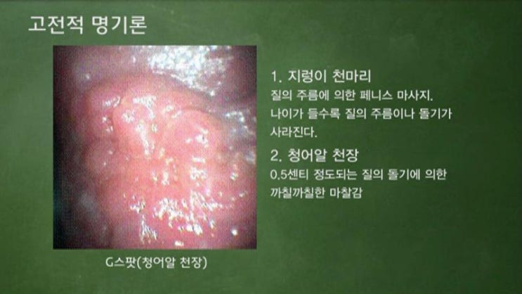 [여성명기훈련]2 여성 명기란 무엇을 말하는가 명기의 조건 지스팟 Pc근육 네이버 블로그