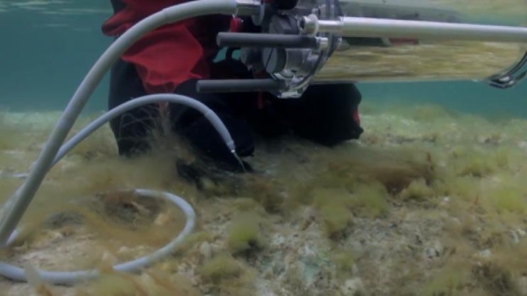 수중엽록소형광측정기 DIVING-PAM 수중사용 실례 : 네이버 블로그