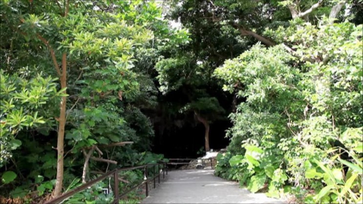 [오키나와에세이]#39. Gangala Cave Cafe : 네이버 블로그