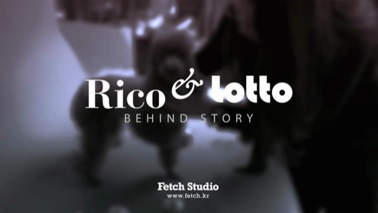 로또&리코 비하인드 영상 - 펫치 스튜디오 : 네이버 블로그