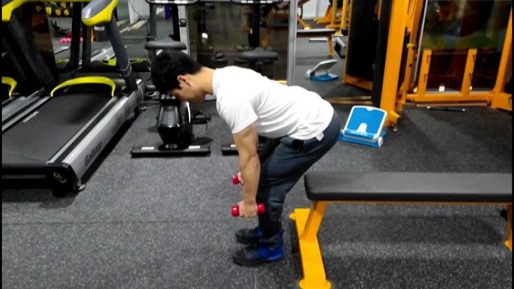 라운드 숄더 자세 교정 운동능형근 고척동헬스장 고척동pt 고척헬스 고척pt 리커버리휘트니스 네이버 블로그