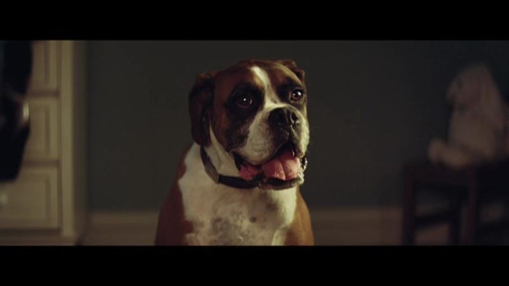 크리스마스 선물을 애타게 기다리던 한 소녀와 소녀의 선물을 가로챈 복서(BOXER) 개의 크리스마스 스토리 - 존 루이스 백화점 ...