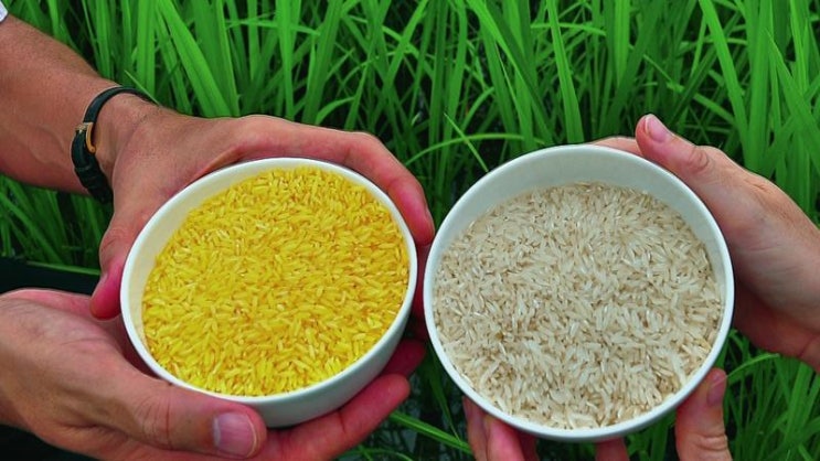 The case for engineering our food (About GMO) : 네이버 블로그