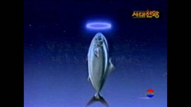 1995년 1월 실제 방영된 TVCF광고 모음(3) : 네이버 블로그