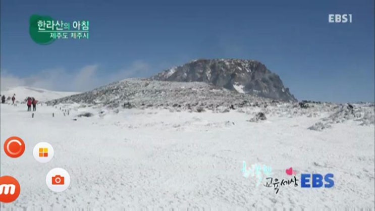 EBS 1TV - 꼬마기사 마이크 OP영상 (2017.02.22) : 네이버 블로그