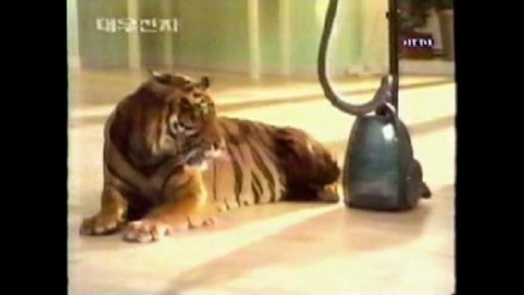 1995년 9월 실제 방영된 TVCF광고 모음(1) : 네이버 블로그