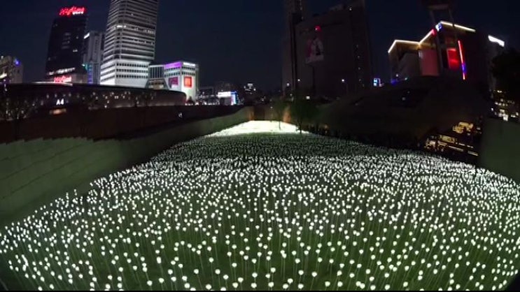 동대문 DDP LED (엘이디) 장미 정원 시공 동영상입니다. : 네이버 블로그