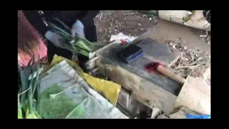 수동대파탈피기 : 네이버 블로그