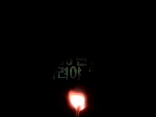 2000년공익광고동물사진 : 네이버 블로그