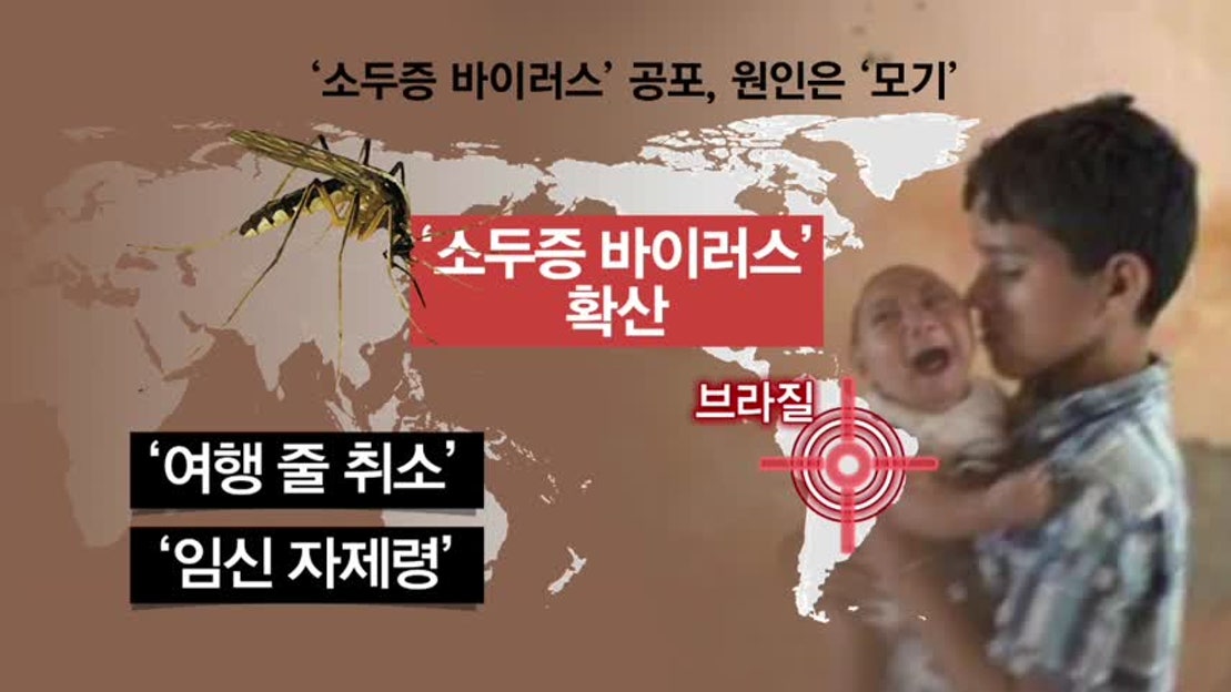 공포를 몰고 온 소두증 바이러스의 미스터리 감염 경로는 네이버 Tv