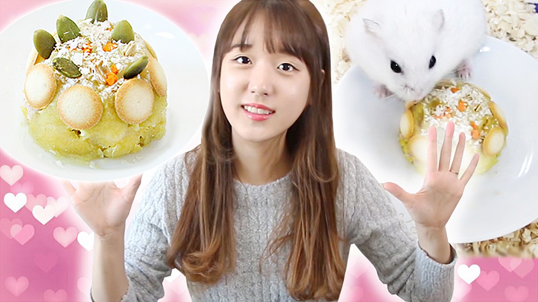 햄스터 크리스마스 케이크 만들기and고구마 케이크 미니어쳐 케이크 만들기 Miniature Cake For Hamsters 네이버 Tv