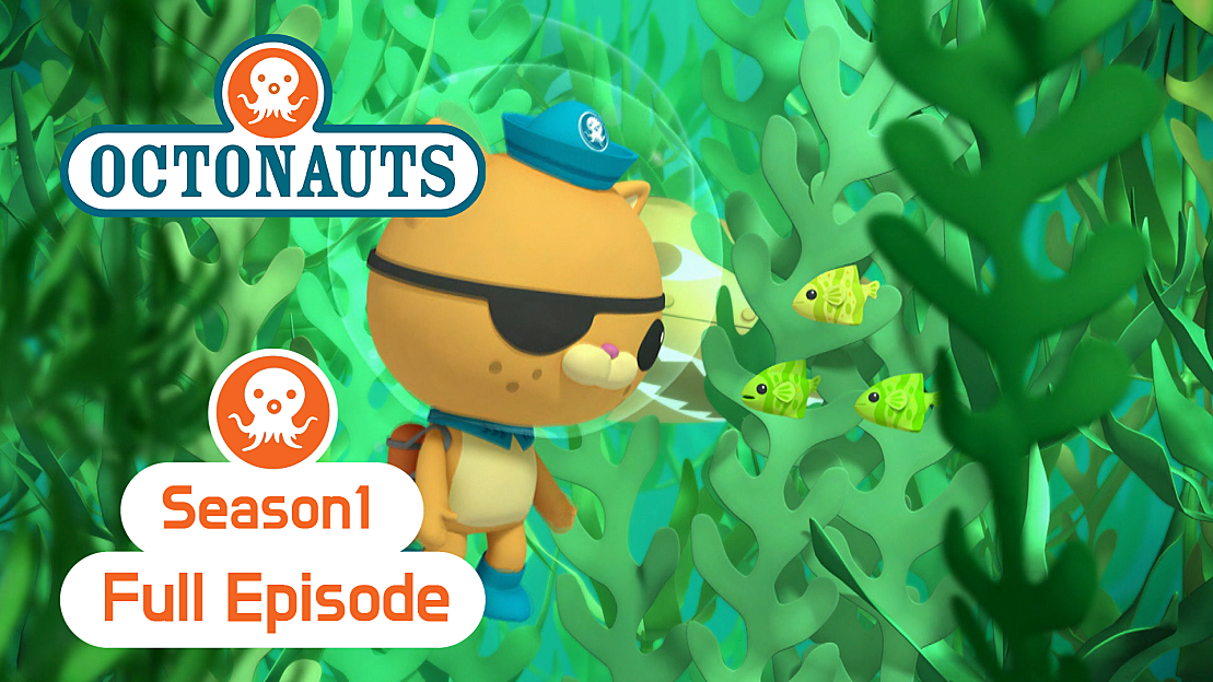 Octonauts｜Season 1 Episode #15-The Kelp Forest Rescue - 네이버 TV