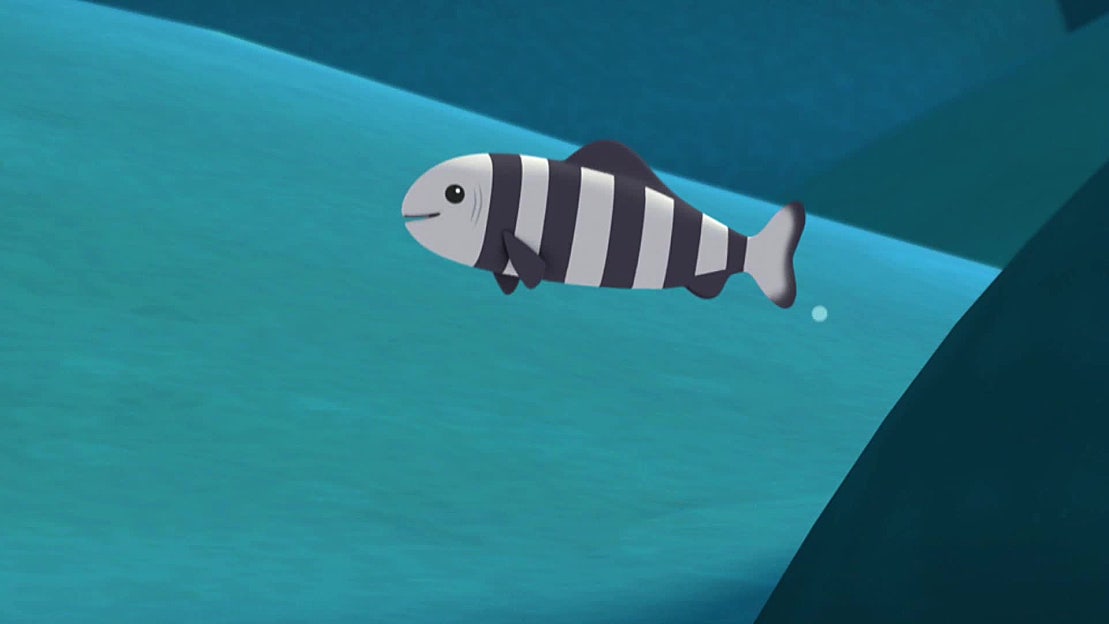 Octonauts｜Season -1 Episode #27 - The Hungry Pilot Fish - 네이버 TV