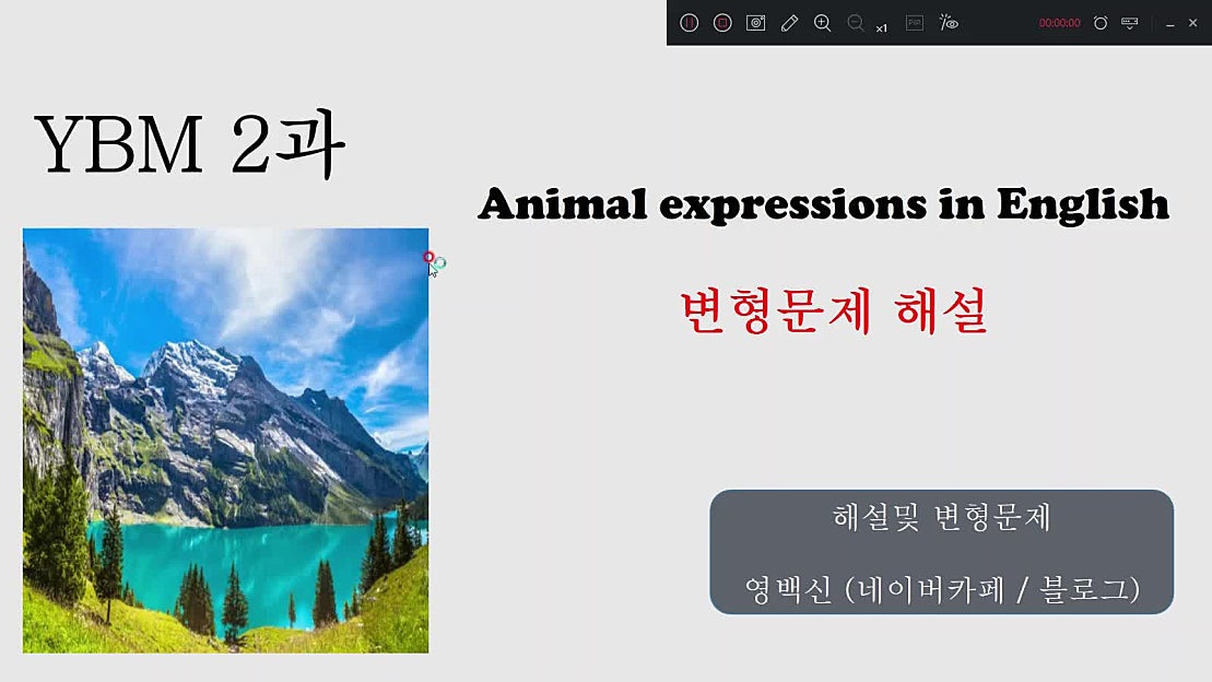 YBM 2과 Animal expressions in English 변형문제 해설 - 네이버 TV