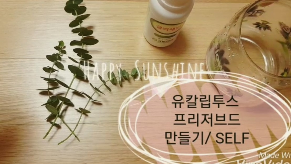 비염에 좋은 유칼립투스 프리저브드 만들기 글리세린참 쉬운 네이버 Tv