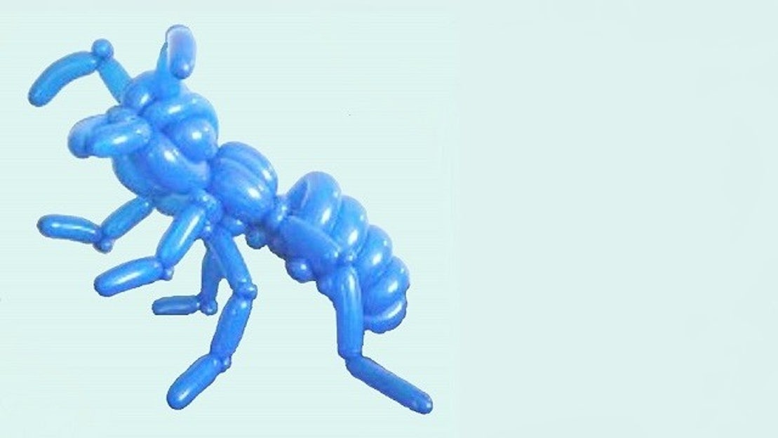 5228 풍선 개미 고급 balloon ant 气球 蚁 풍선 아트 气球 艺术 balloon art 풍선 장식 气球 装饰 bal ...