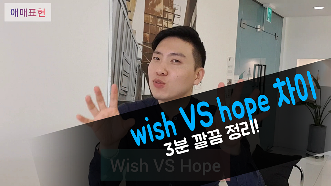 Wish VS Hope의 애매한 차이 (애매표현#12) - 네이버 TV