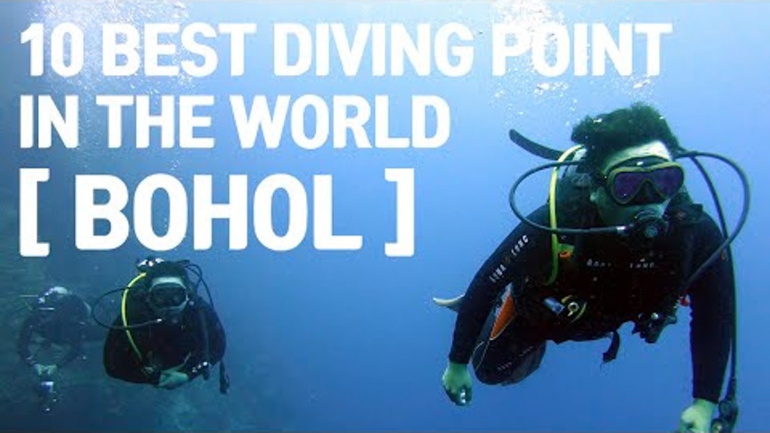 Top 10 Scuba diving points in the world [Philippines #Bohol Diving ...