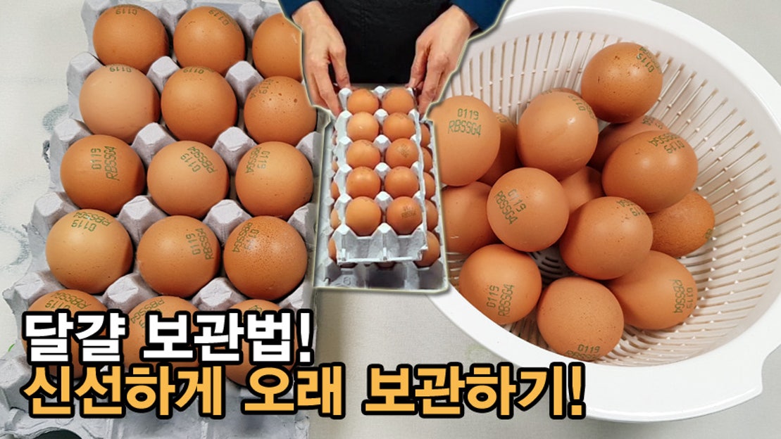 달걀 보관법 계란 보관 방법 신선하고 오래 보관하는 간단한 방법 백길월의 한식요리 네이버 Tv