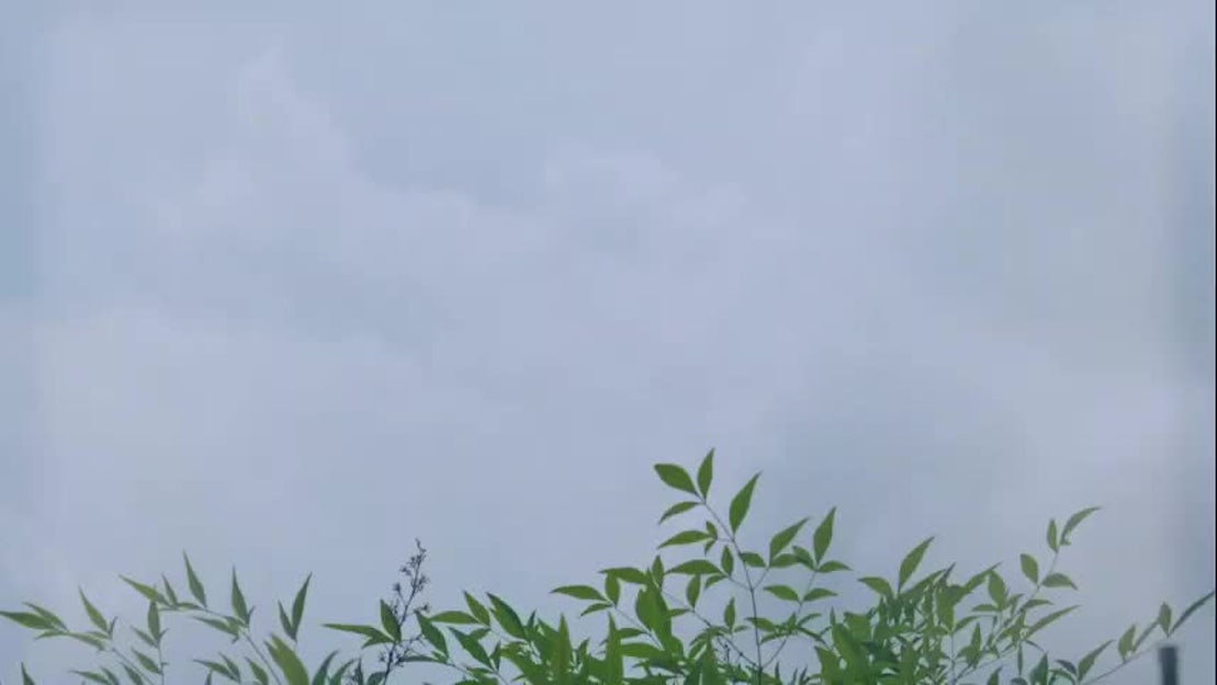 그대 오늘 하루도 (Ending Song) - 와블 Wable - 네이버 TV