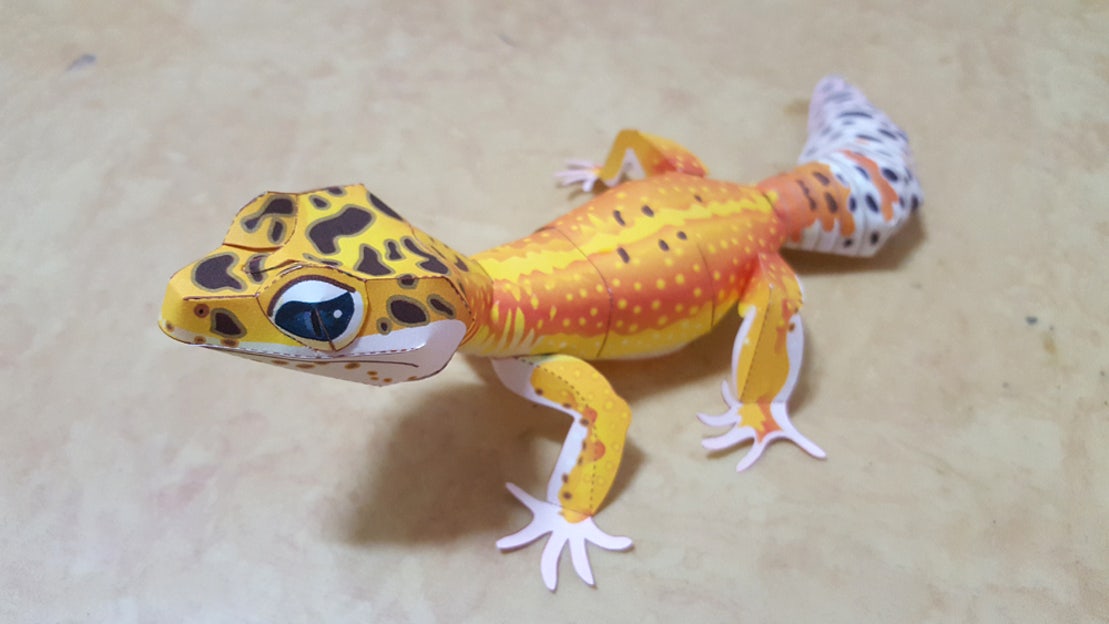 도마뱀 레오파드 게코 Leopard Gecko 쉬운 페이퍼 크래프트 Paper Craft 종이 페이퍼 토이 네이버 Tv