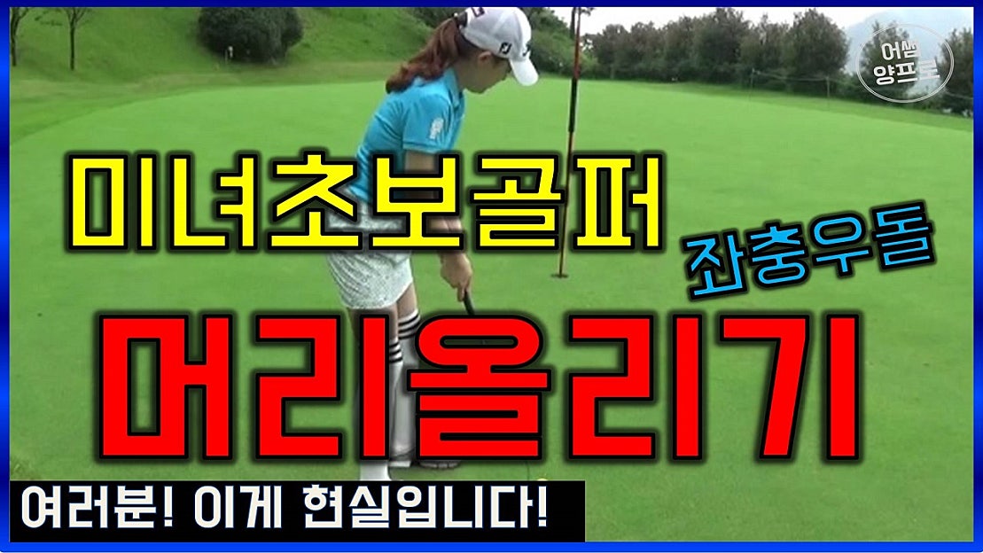 골프영상 미녀골퍼 머리 올리기 머리 올리기전 지나치게 부푼 기대를 가진 초보골퍼라면 네이버 Tv