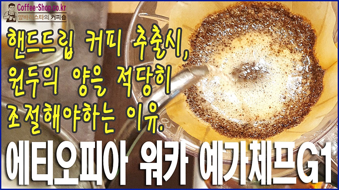 핸드드립 커피 추출시 원두의 양을 적당히 조절해야하는 이유에티오피아 워카 예가체프 네이버 Tv