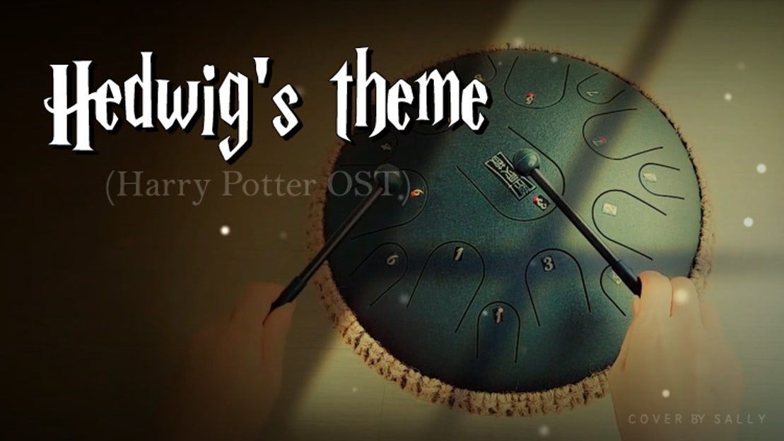 헤드위그 테마(해리포터OST) 스틸텅드럼 연주 ㅣ Hedwig's theme(Harry Potter OST) Steel tongue drum cover - 네이버 TV