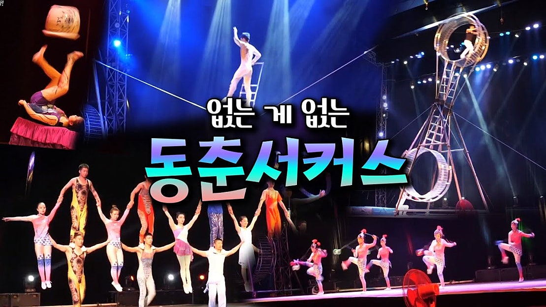 동춘서커스의 모든 것 | KBS 200929 방송 - 네이버 TV