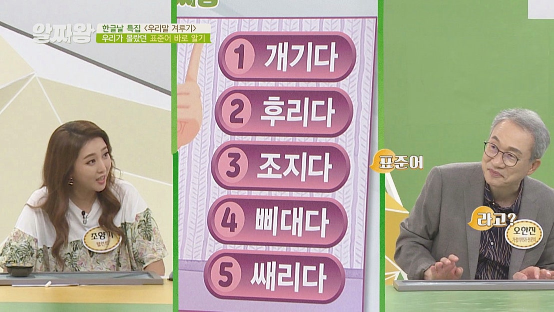 (오답 주의🚨) 단 한 개만 비표준어?! 표준어가 아닌 우리말은? | JTBC 201008 방송 - 네이버 TV