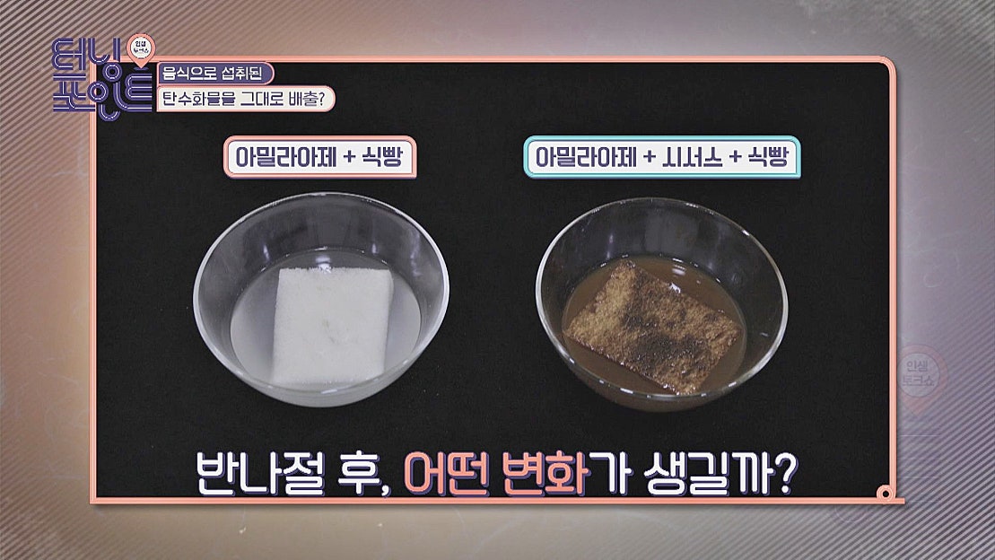 [시서스 실험] 탄수화물의 체내 흡수를 막아주는 시서스 | JTBC 201009 방송 - 네이버 TV