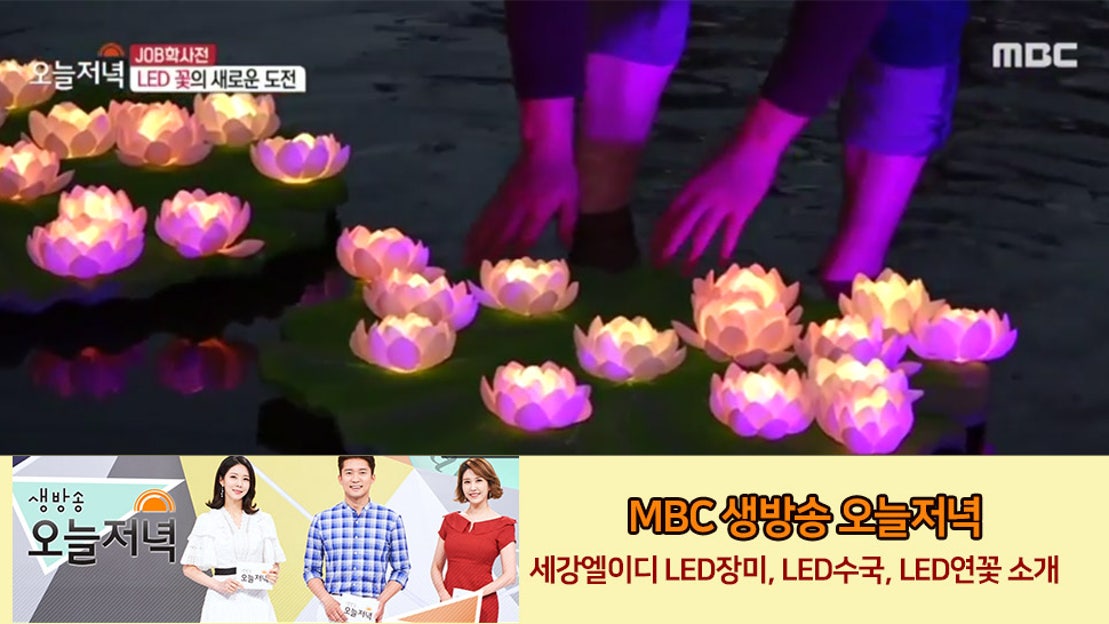 LED수국정원,LED장미정원,LED연꽃 MBC 생방송 오늘_JOB학사전 - 네이버 TV