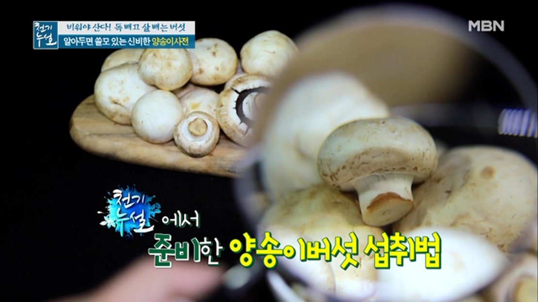 ☆건강한 양송이버섯 섭취 방법☆ MBN 201106 방송 - 네이버 TV