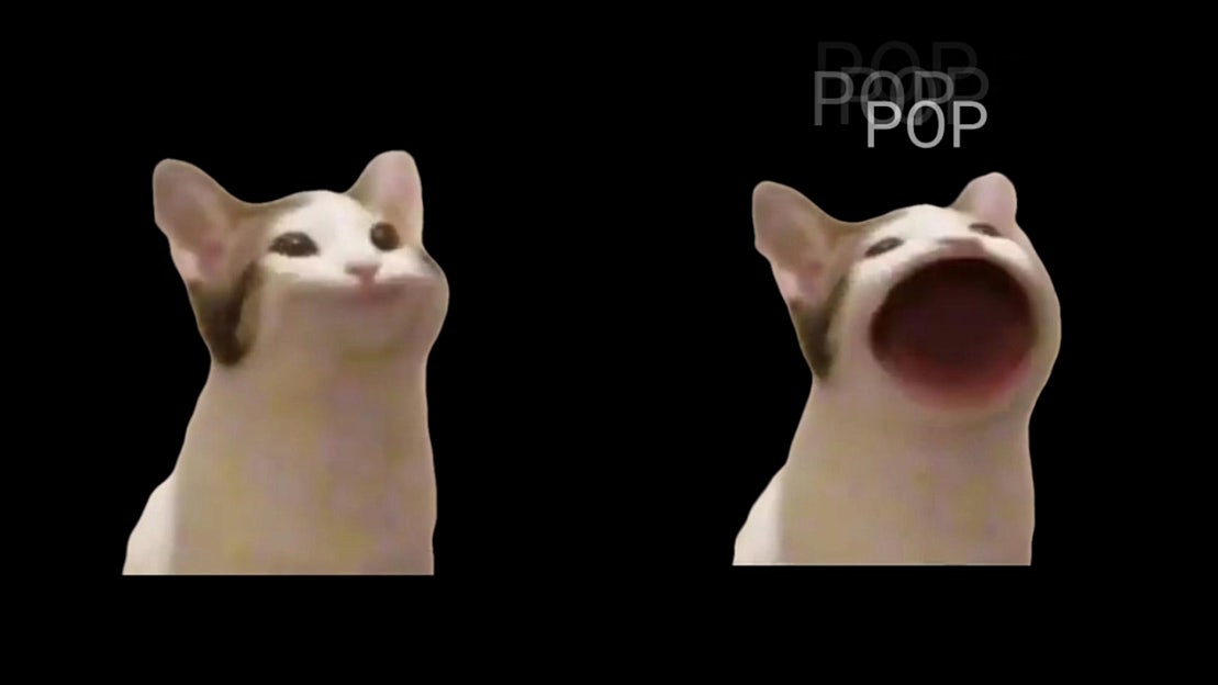 팝캣 [PopCat] / 팝 캣 밈,pop cat meme,팝 켓 밈 모바일게임 - 네이버 TV