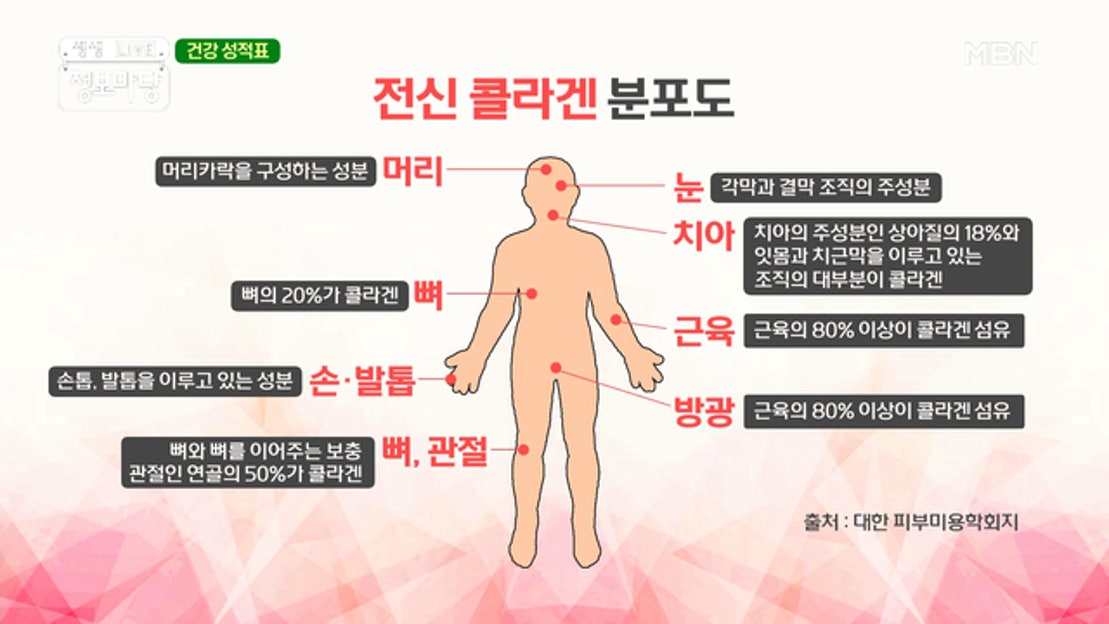 건강 성적표! 전신 콜라겐 MBN 210127 방송 - 네이버 TV