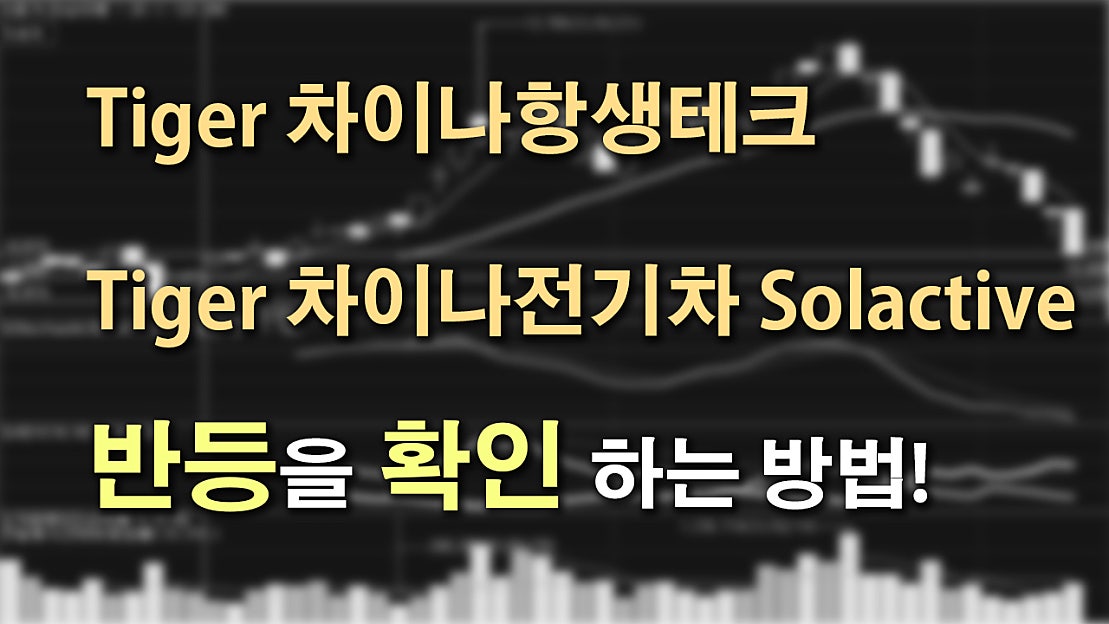 Tiger 차이나항생테크, Tiger 차이나전기차 Solactive 분석 - 네이버 TV