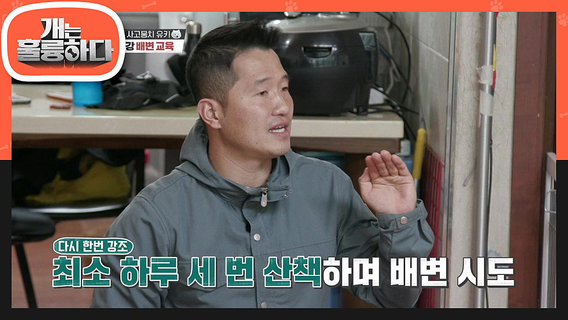 생각보다 간단하게 해결 할 수 있는 배변교육! 결국 산책훈련과 연결되는 배변훈련! | KBS 210315 방송 - 네이버 TV