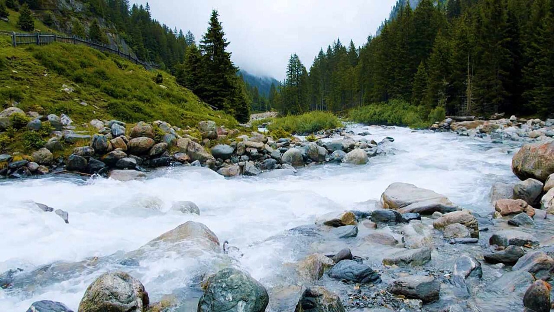자장가, 마음의 평화와 행복을 추구합니다 항상 행복하시길 ##12 - 네이버 TV