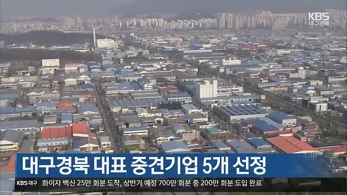 대구경북 대표 중견기업 5개 선정 - 네이버 TV