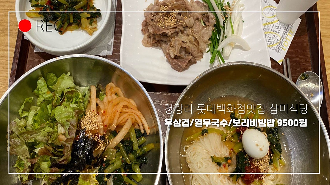 🥗청량리롯데백화점맛집 삼미식당 우삼겹구이 열무비빔국수 영양보리비빔밥 1025 네이버 Tv