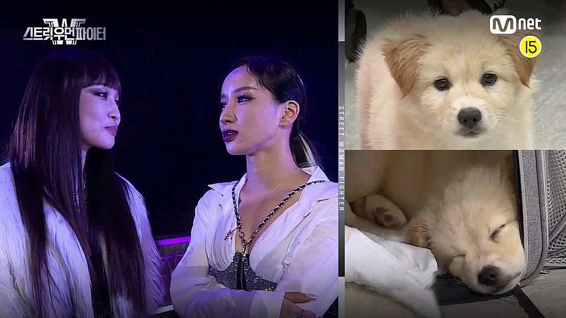 [파이널 비하인드] 라치카의 보컬로 재데뷔한 청하! (feat.푸딩 직캠) | Mnet 211102 방송 - 네이버 TV