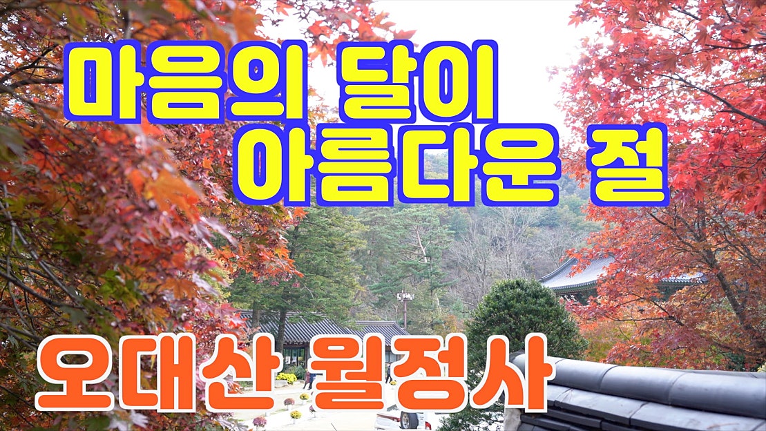 사찰여행 평창 오대산 월정사마음의 달이 아름다운 절강원도 사찰여행평창 가볼만한 곳 네이버 Tv