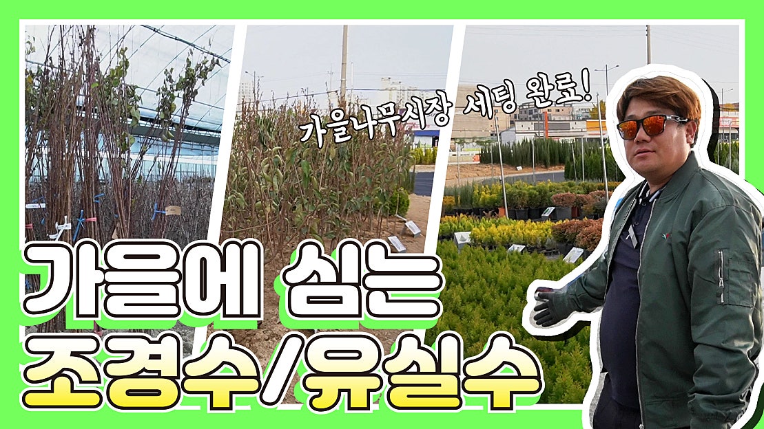 채움원예종묘 가을 묘목 세팅 완료 유실수and조경수and약용수 구매는 채움에서🤗 네이버 Tv