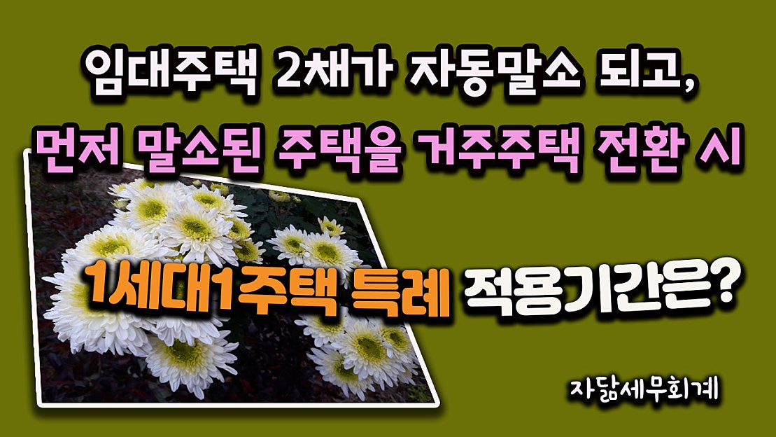 임대주택 2채 자동말소 후 먼저 말소된 주택을 거주주택 전환 시 1세대1주택 특례 적용기간 네이버 Tv