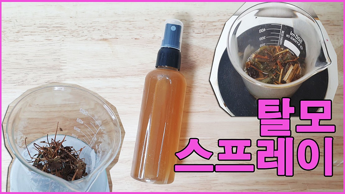 어자녹 탈모 스프레이 만들기 어성초 자소엽 녹차 네이버 Tv