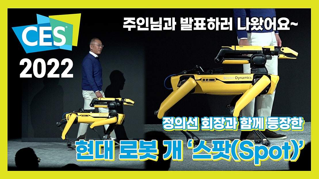 [CES2022] 현대 로봇 개 '스팟', 주인님 따라 CES 왔어요~ - 네이버 TV