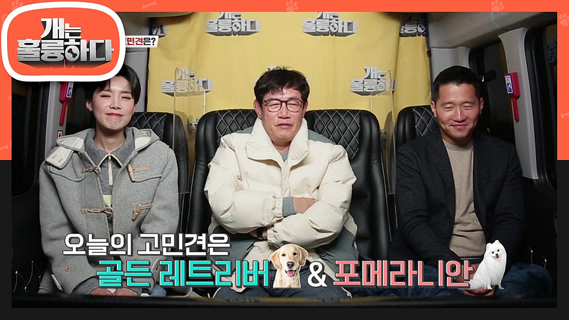 장도연의 견종 자판기, 골든 레트리버X포메라니안 | KBS 220110 방송 - 네이버 TV