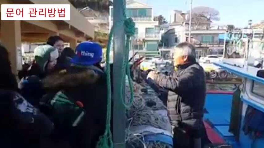 문어배 선장님이 알려주는 문어관리방법 - 네이버 TV