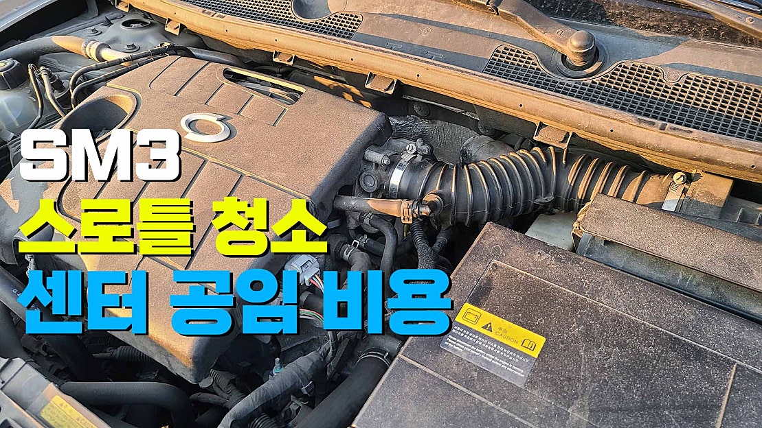 SM3 엔진제어장치 경고등 점등 RPM이 떨리는 증상 스로틀바디 청소 센터 공임 비용 - 네이버 TV
